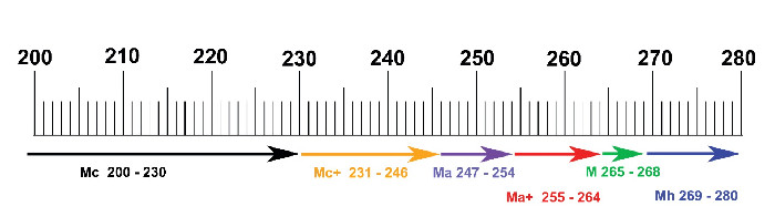 Merle Phenotype Combinations :: Merle-sine-insertion-from-mc-mh